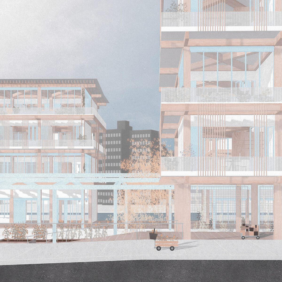 Andrew Chee / 163 Exterior Street / Neighbor to Neighbor